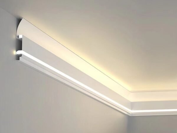 Why Use Double Eyelid Liner Light for Ceiling Decoration Lighting?